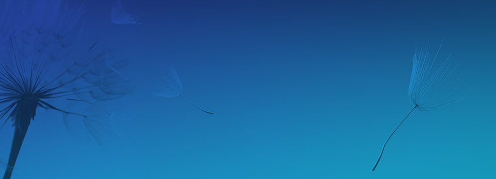 Pledge Yourself | Anatomy Gifts Registry